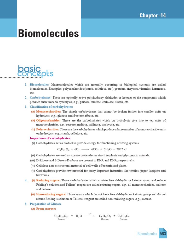 biomolecule (1) | PDF | Carbohydrates | Nucleotides