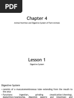 LESSON 3 - Digestion in Ruminant | PDF | Ruminant | Digestion
