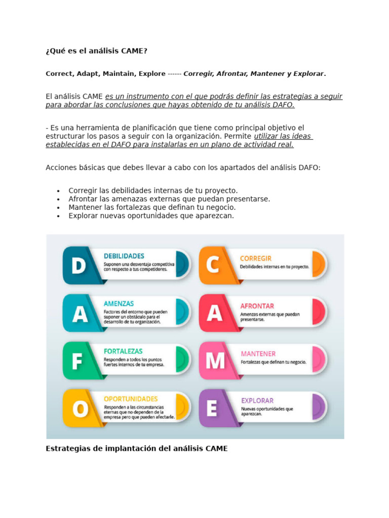 Qué Es El Análisis CAME | PDF