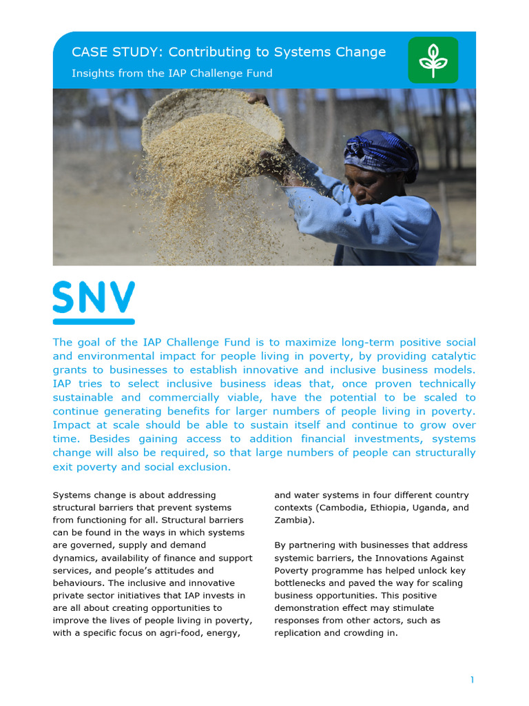 iap_case-study_contributing-to-systems-change_november2023 | PDF ...