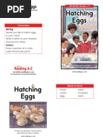 New Kid - Chapter Questions | PDF | Career & Growth