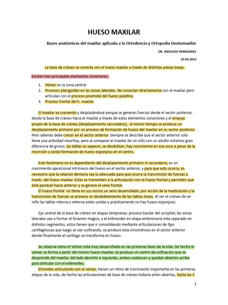 8 Hueso Maxilar | PDF | Cráneo | Hueso