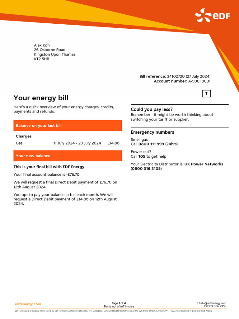 EDF Energy Bill Summary | PDF | Nature