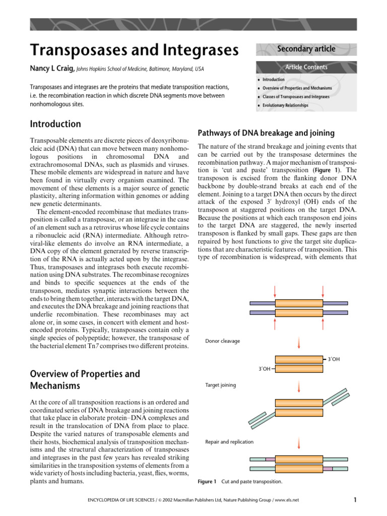 Transposases Intergrases | PDF | Transposable Element | Dna