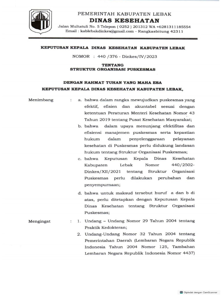 SK Sotk Puskesmas Dari Dinkes | PDF