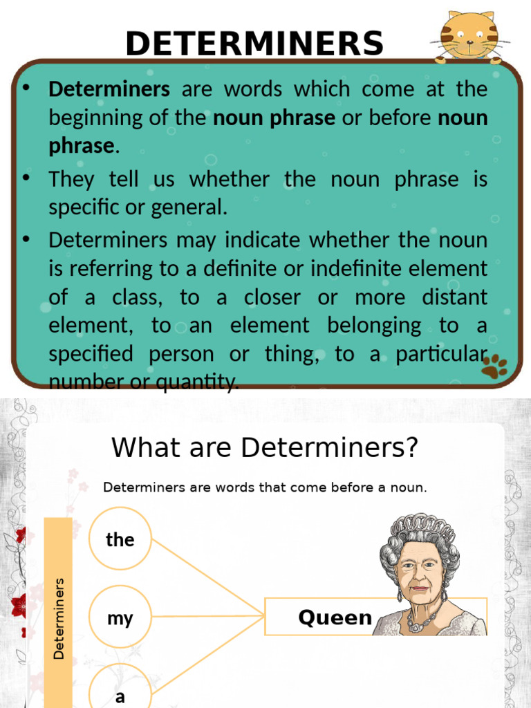 Determiners Final | PDF | Noun | Semantics