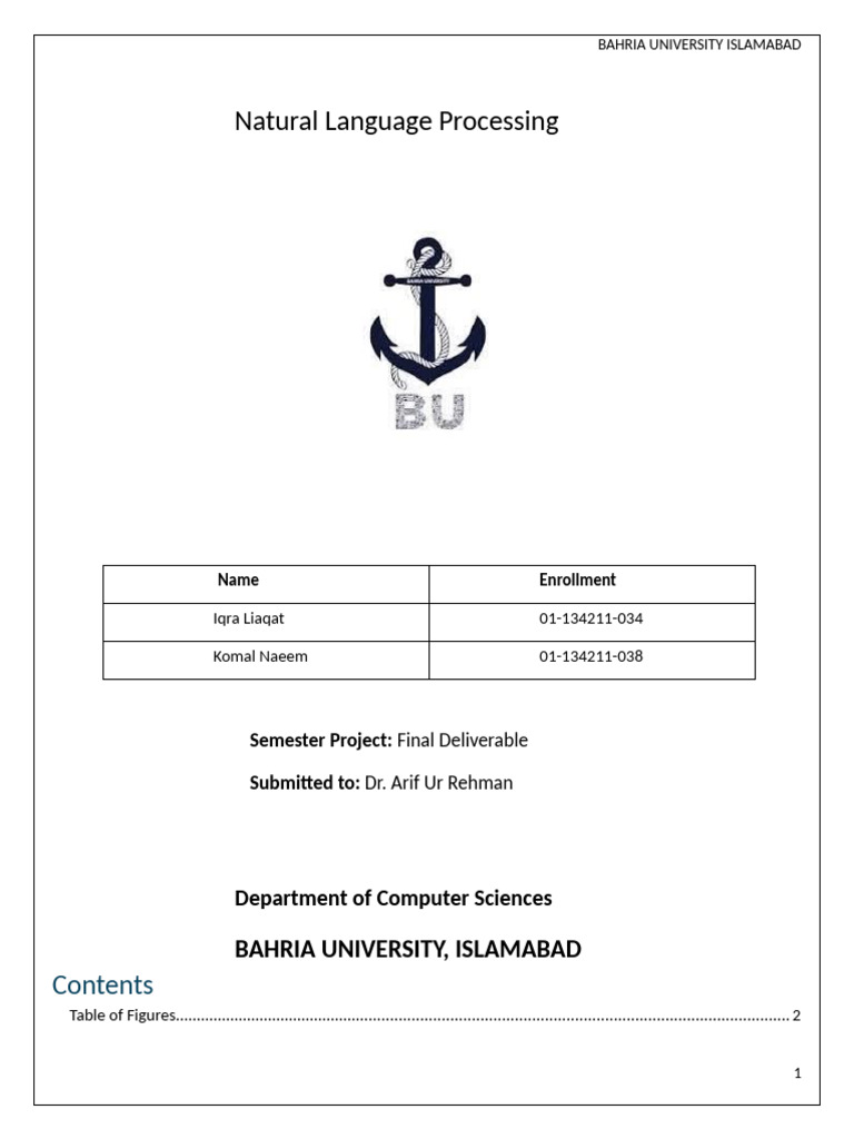 NLP Report | PDF | Usability | Parameter (Computer Programming)