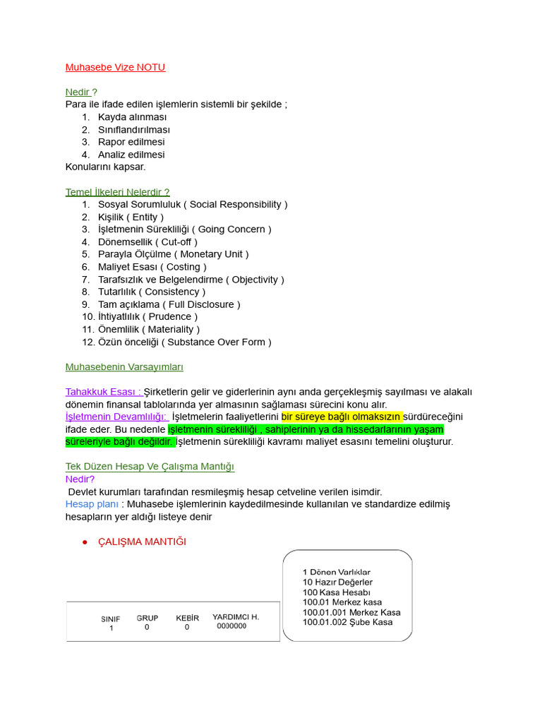 Muhasebe Vize Notu | PDF