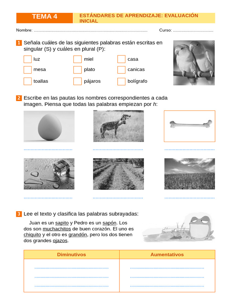 Lengua 3 e Ev Tema 040 | PDF