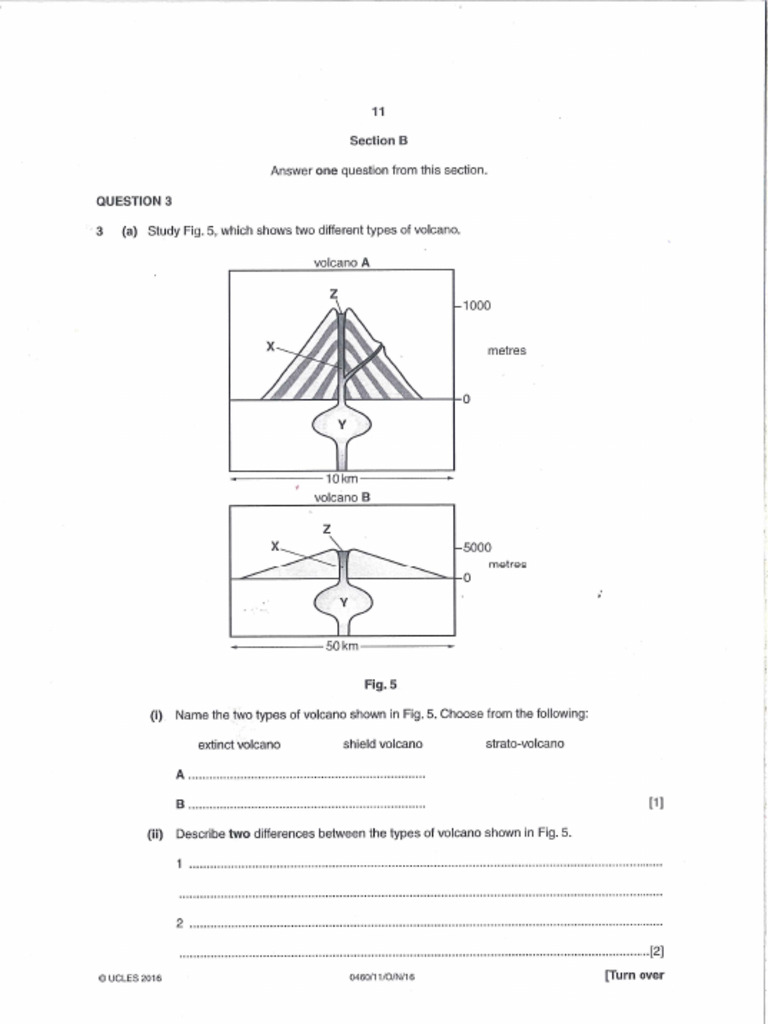 Yr 9 Homework W-Sheet 1 | PDF