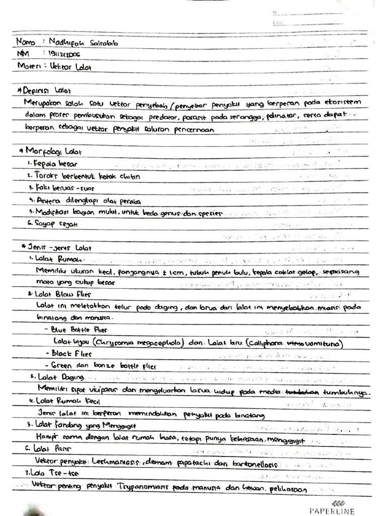 Pertemuan 11 - Vektor Lalat | PDF