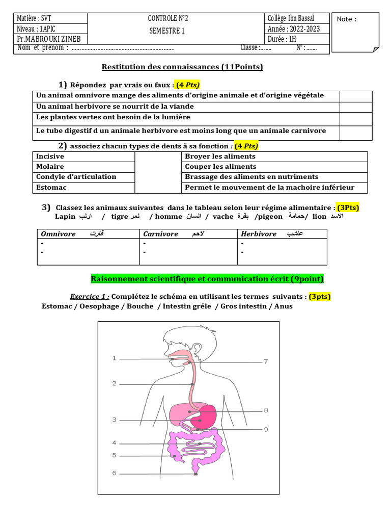 Évaluation SVT : Alimentation CM2 | PDF | Tractus gastro-intestinal