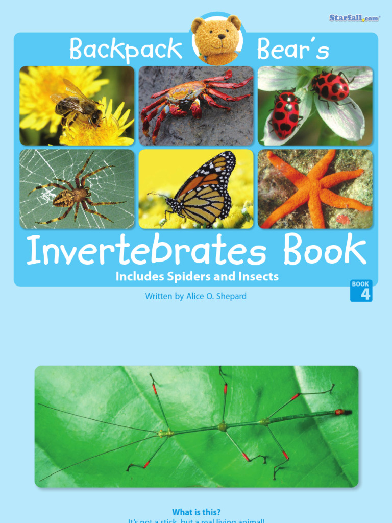 SB899_backpack-bears-invertebrates-book | PDF | Insects | Pupa