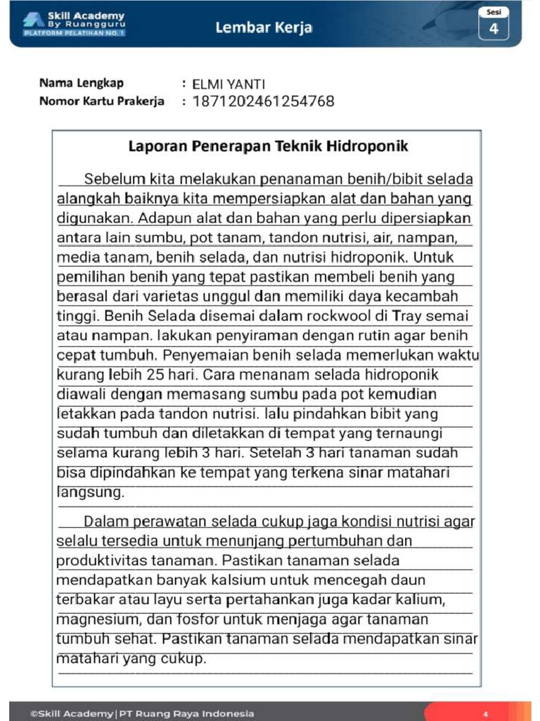TPM 4 Laporan Penerapan Teknik Hidroponik - (ELMI YANTI) | PDF
