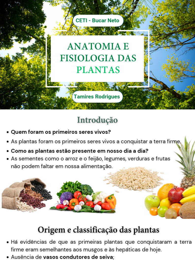 Part 01 - anatomia e fisiologia das plantas | PDF | Raiz | Semente
