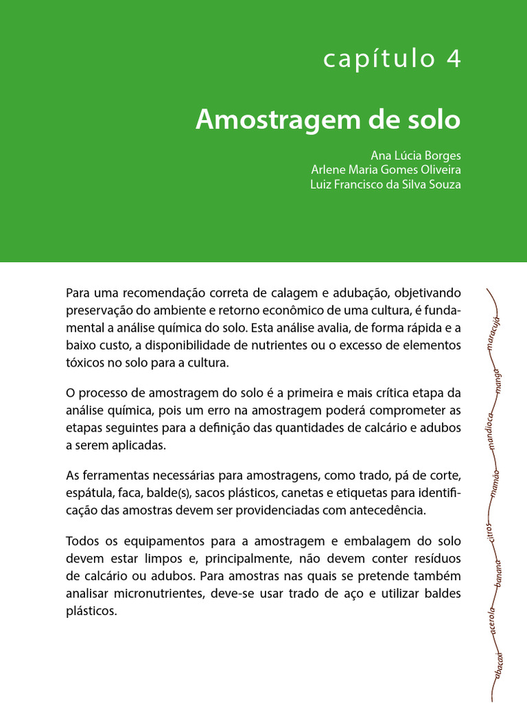 cap4-livro-RecomendacaoCalagemAdubacao-AnaLuciaBorges-AINFO | PDF | Solo | Fertilizante