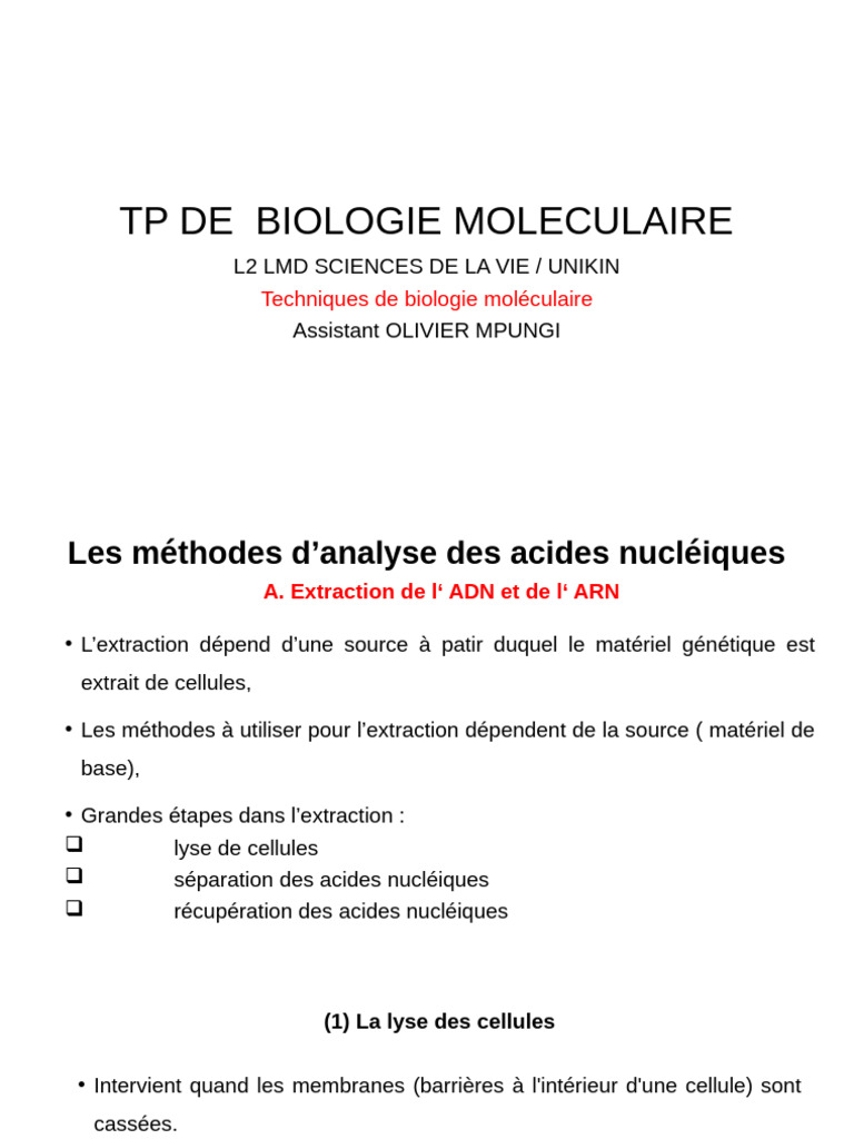 TP de Biologie Moleculaire | PDF | Cellule (Biologie) | ADN