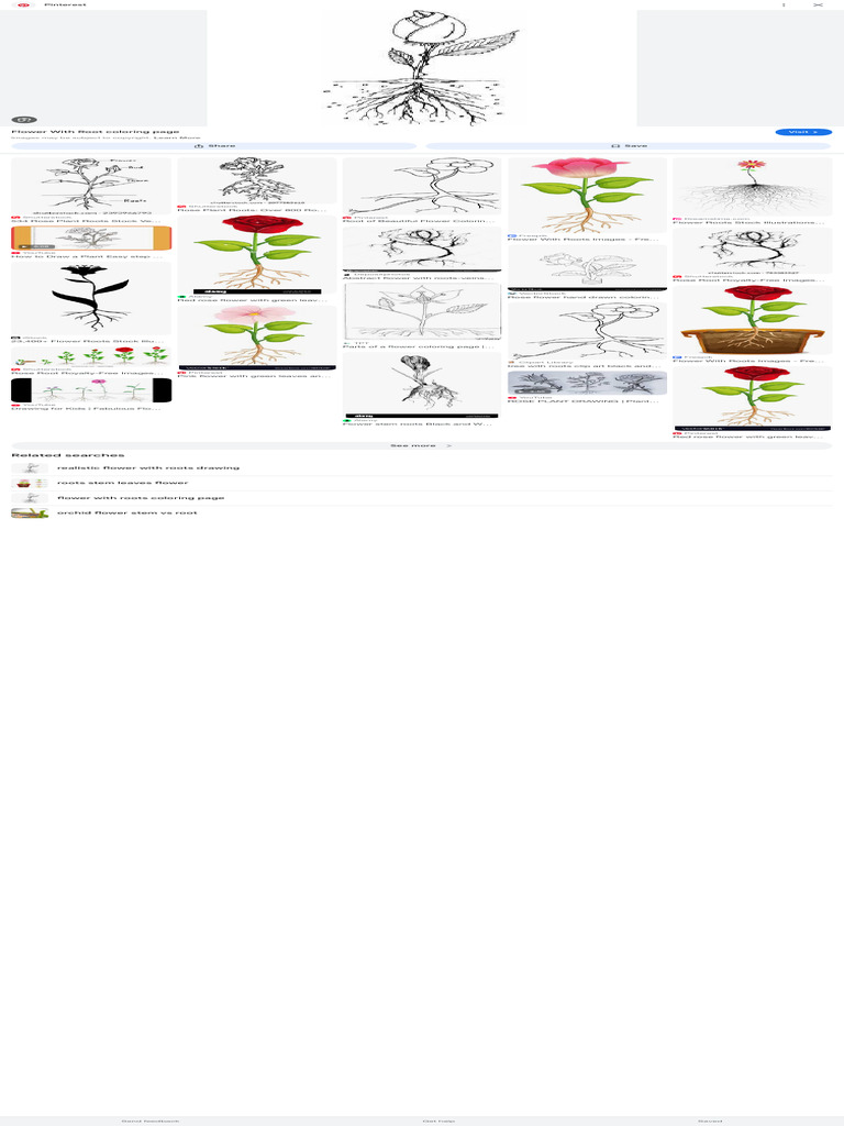 Rose Print Out With Roots - Google Search | PDF | Botany | Plants