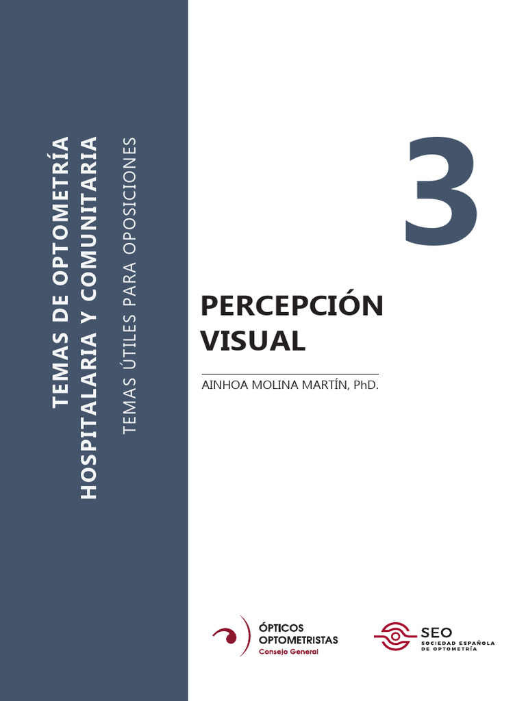 TEMA 3 PERCEPCION VISUAL | PDF | Percepción visual | Percepción