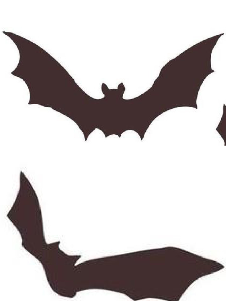 Bats | PDF