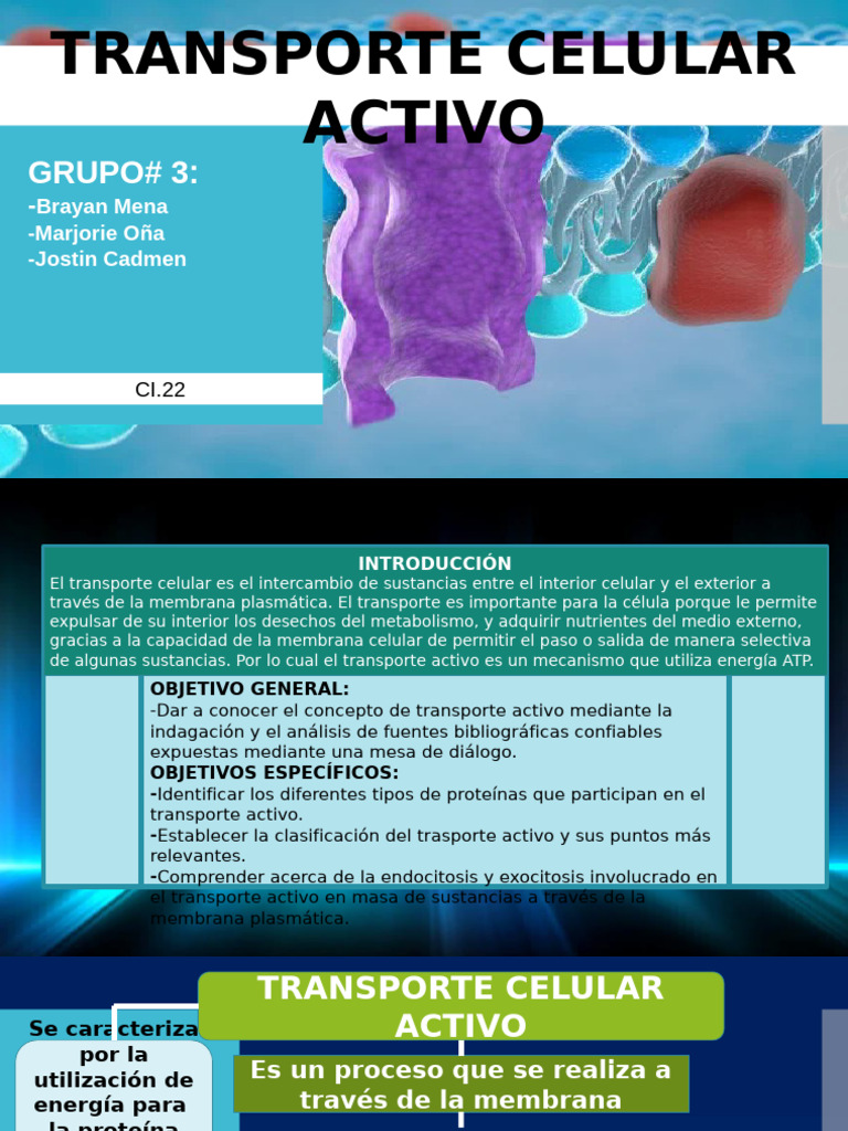 Transporte Activo en Células: Tipos y Funciones | PDF | Biofísica ...