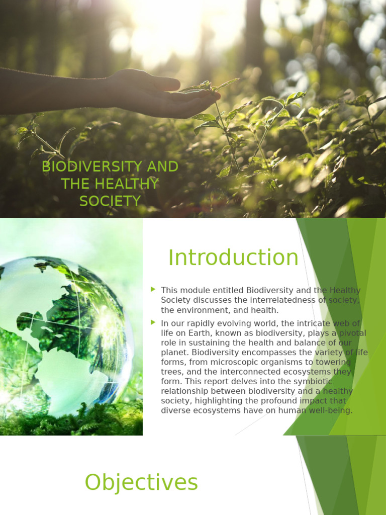 Biodiversity's Role in Human Health | PDF | Biodiversity | Ecosystem