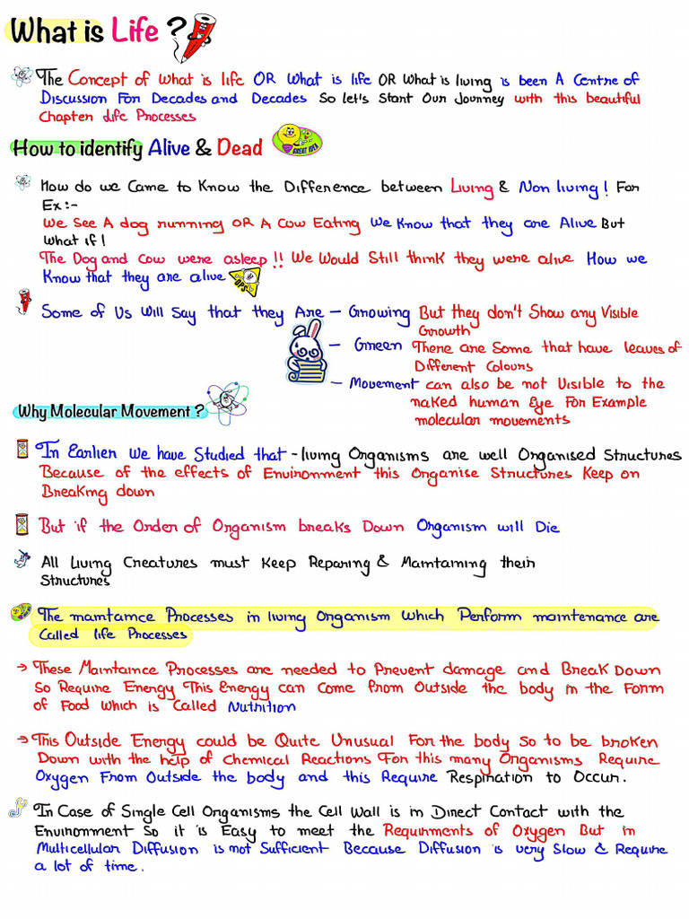 Life Processes Notes | PDF