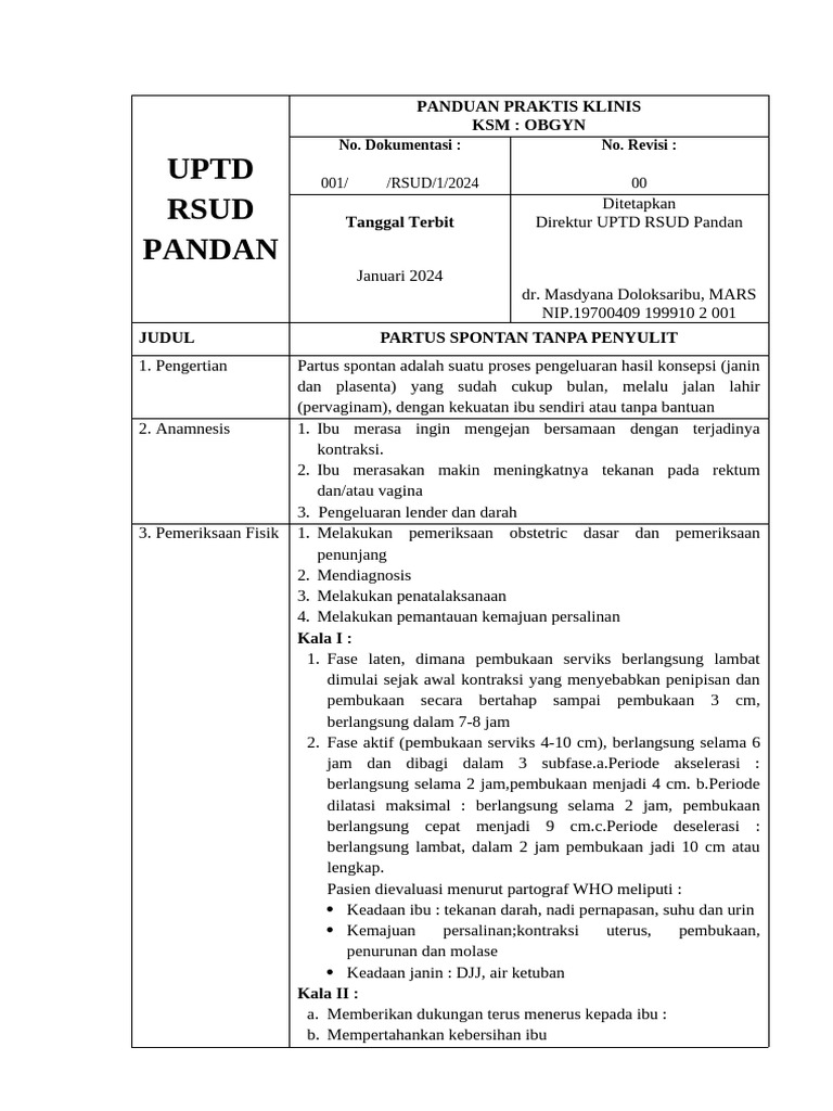 PPK Partus Normal | PDF