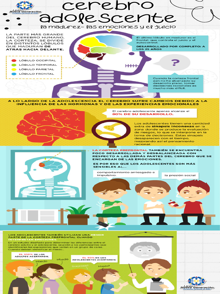 Cerebro Adolescente Pdf