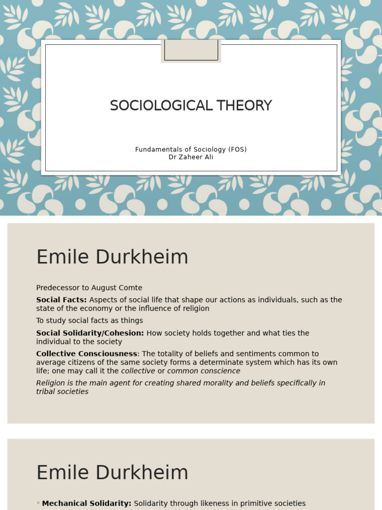 Social Theory | PDF | Émile Durkheim | Solidarity