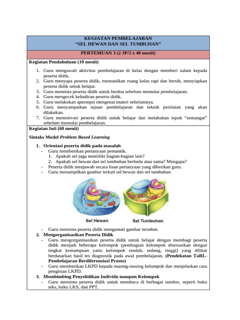 LKPD Sel Hewan Dan Tumbuhan | PDF