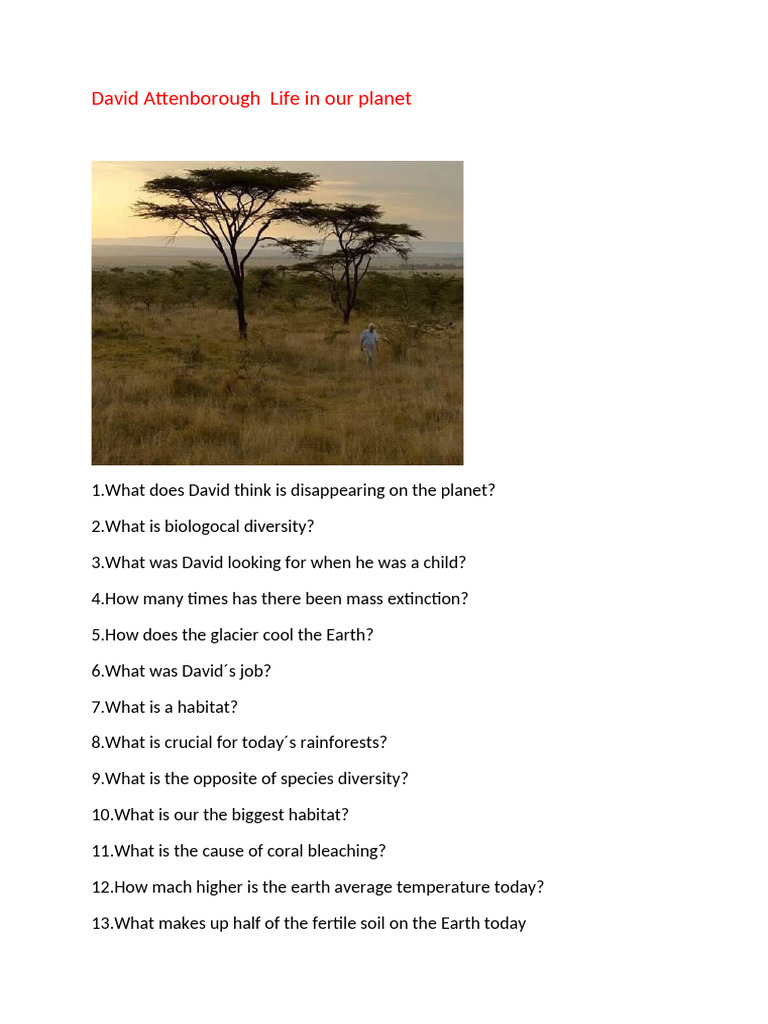 Planet Conservation Insights | PDF