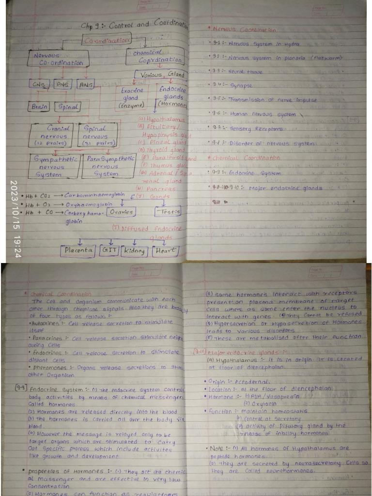 Chp 9 Control And Coordination Pdf