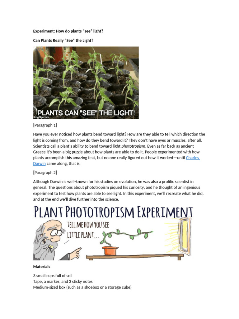 How Plants "See" Light: A Phototropism Experiment | PDF | Auxin ...