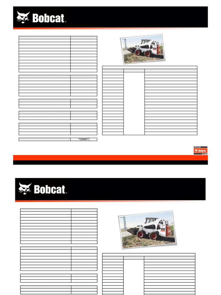s250 4 Maintenance Chart | PDF | Tire | Motor Oil