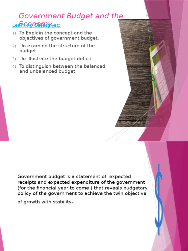Understanding Government Budget Dynamics | PDF | Taxes | Government ...