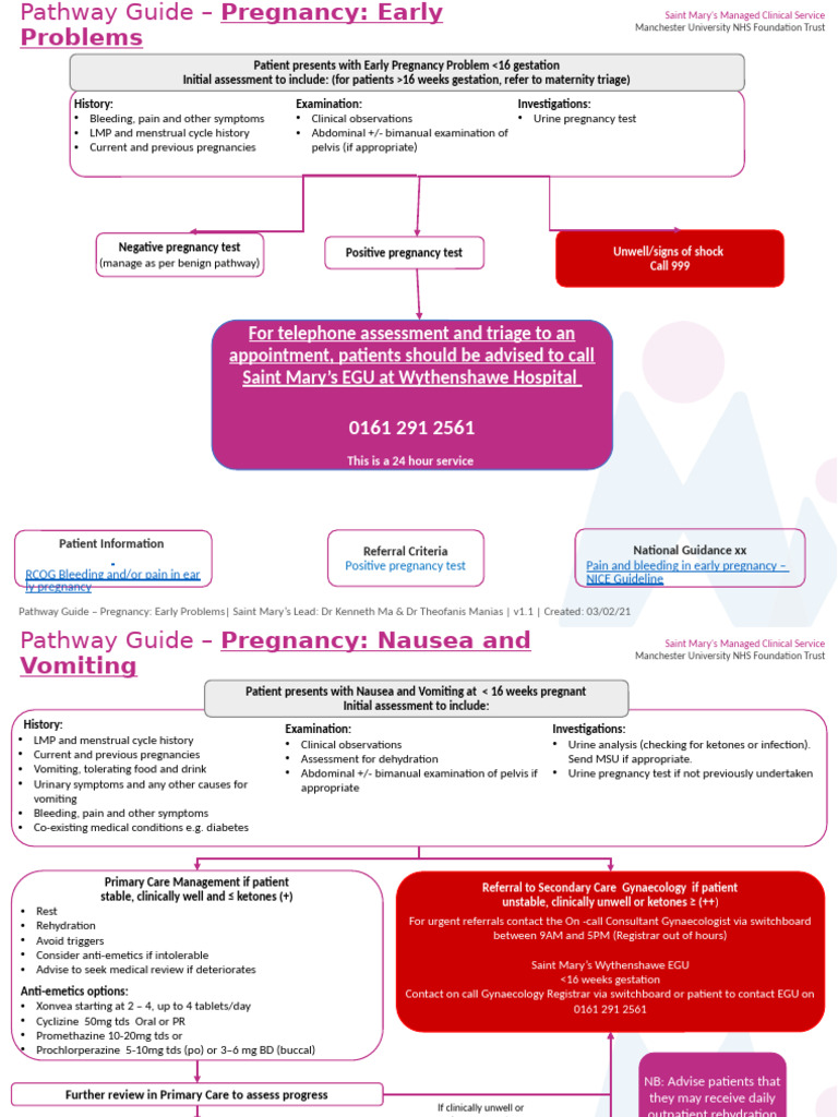 Early Pregnancy Care Guide | PDF | Pregnancy | Maternal Health