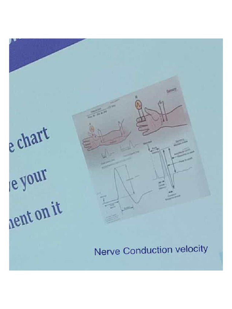 Physio Spotting | PDF