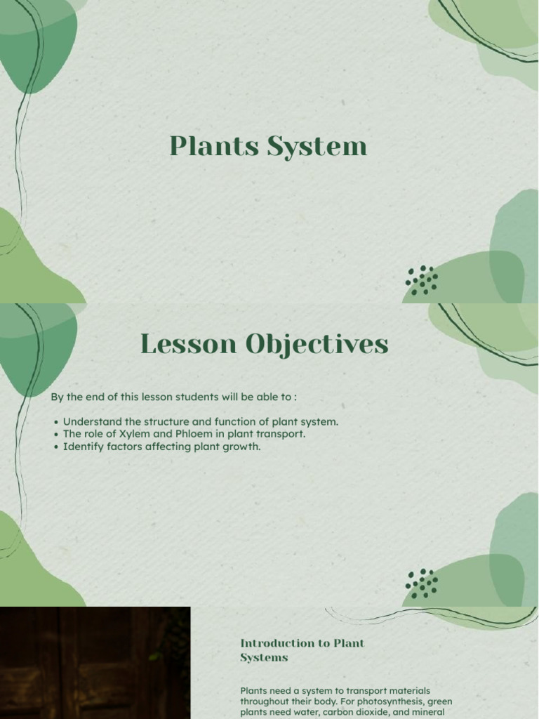 Slidesgo Exploring The Complexities of Plant Systems Structure Function and Interactions ...