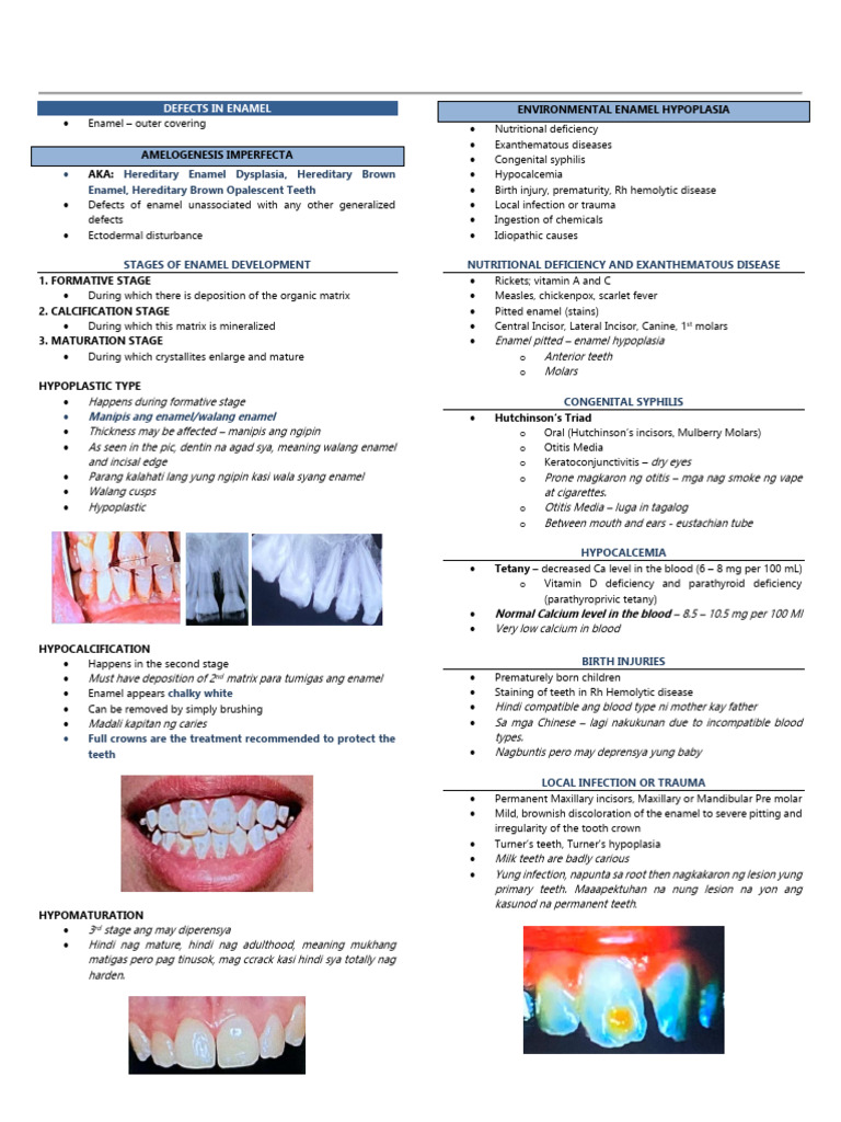 OPA LEC Enamel and Dentin | PDF | Tooth Enamel | Tooth
