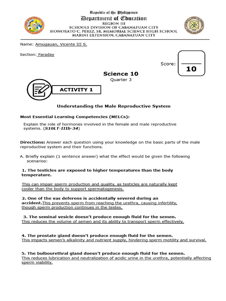 2425 Q3 A1 Understanding The Male Reproductive System | PDF ...