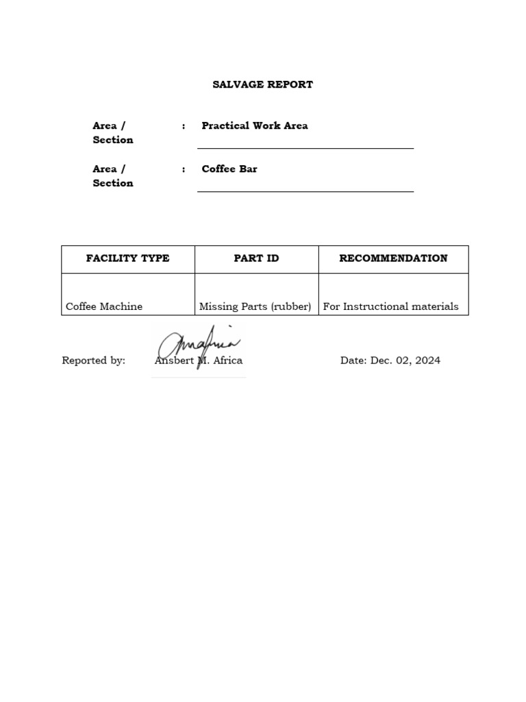 Ama-Salvage Report | PDF