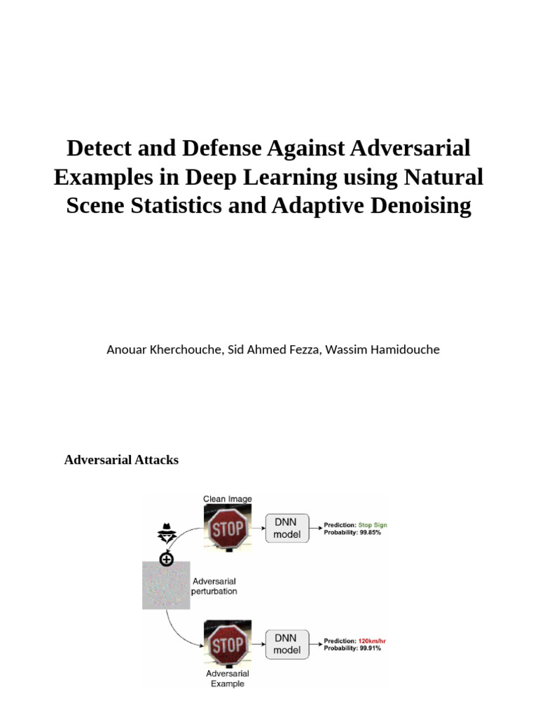 Adversarial_Examples_Presentation | PDF | Applied Mathematics | Learning