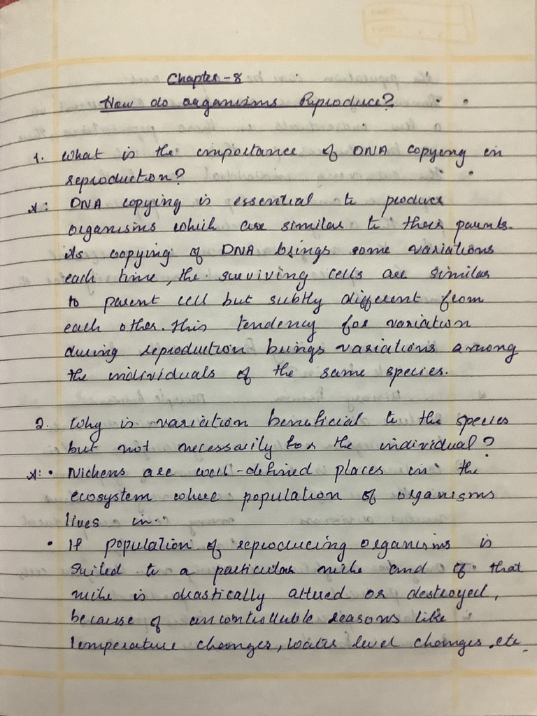 Biology Chapter 8 Notes | PDF