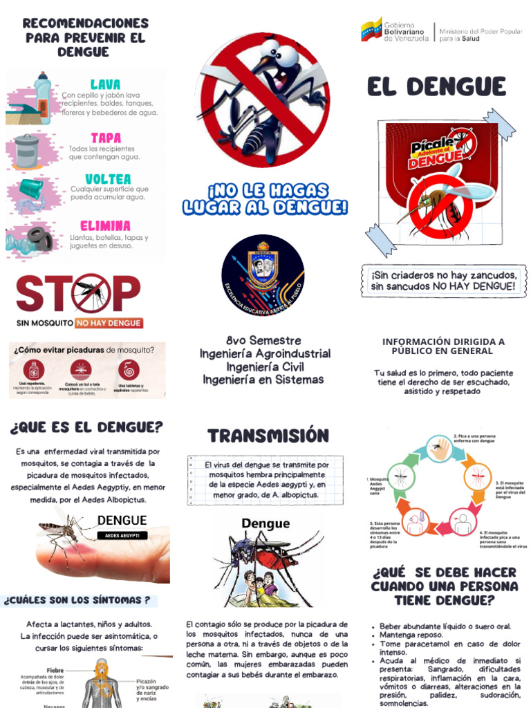 El Dengue - Triptico | PDF | Salud pública | Enfermedades y trastornos