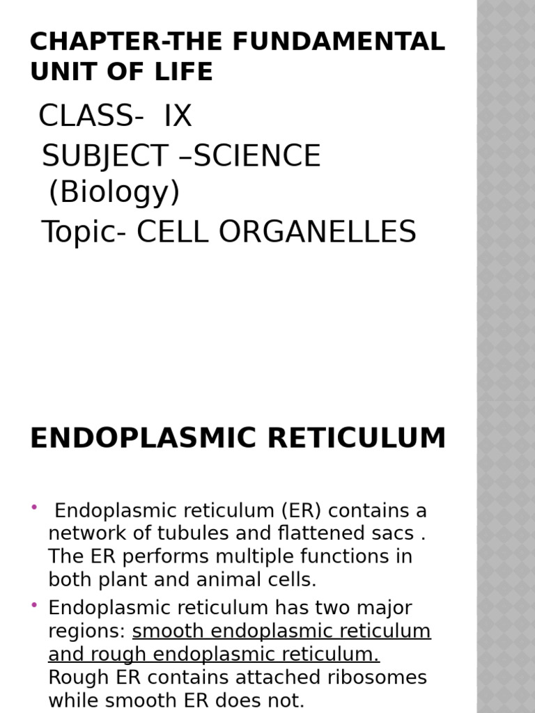 cell organelles | PDF | Endoplasmic Reticulum | Cell (Biology)