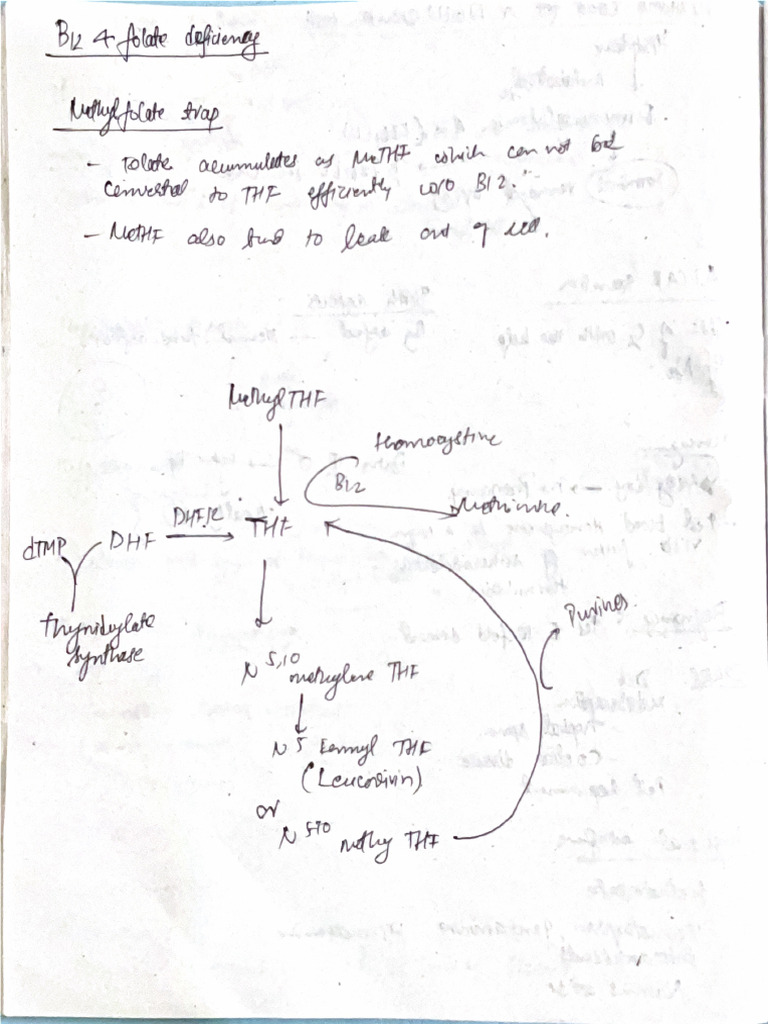 Hemat Biochem 2 | PDF
