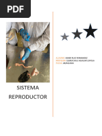Aparato Reproductor Del Cerdo | PDF | Sistema reproductivo | Hormona ...