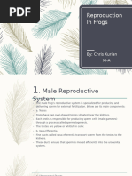 Reproductive System of Frog | PDF | Testicle | Sperm