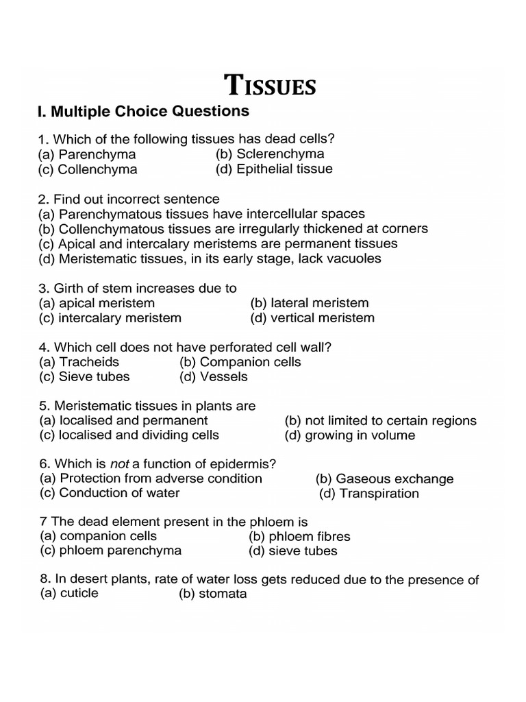 Ix Biology 6 1, Worksheeet | PDF